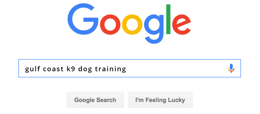Google Review | Gulf Coast K9 Dog Training